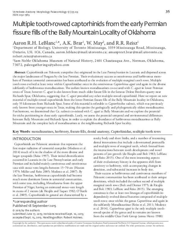 (PDF) Multiple tooth-rowed captorhinids from the Early Permian fissure ...