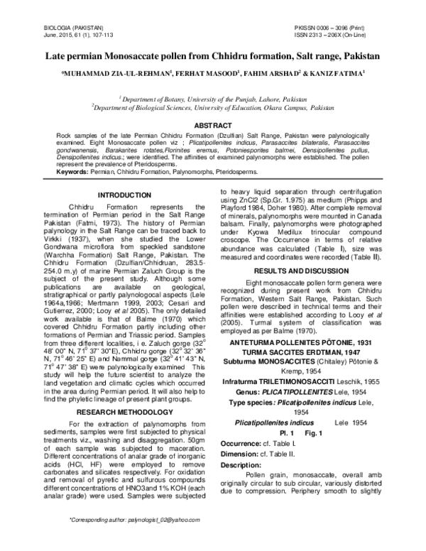 (PDF) Late permian Monosaccate pollen from Chhidru formation, Salt ...
