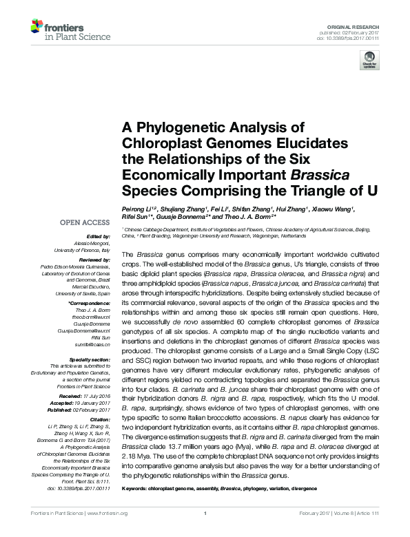 (PDF) A Phylogenetic Analysis of Chloroplast Genomes Elucidates the ...