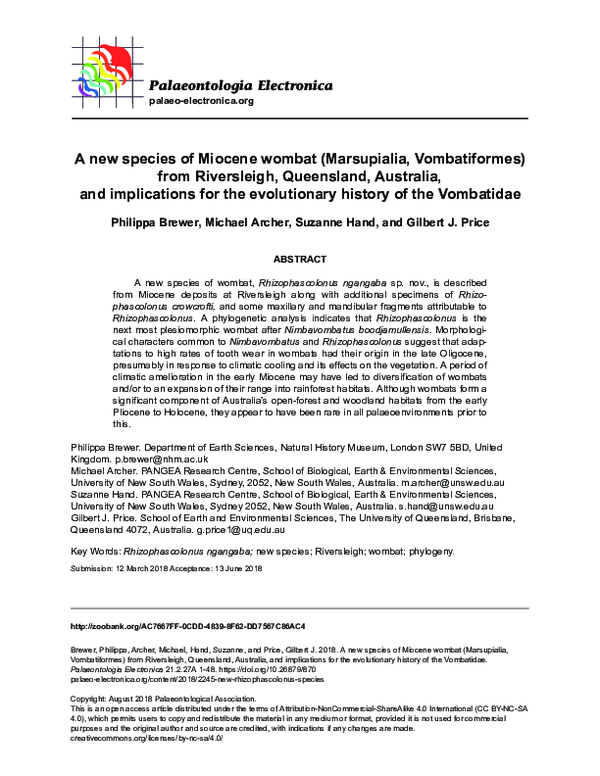 (PDF) A new species of Miocene wombat (Marsupialia, Vombatiformes) from ...