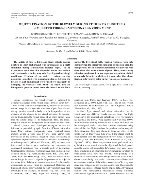 (PDF) Object fixation by the blowfly during tethered flight in a ...