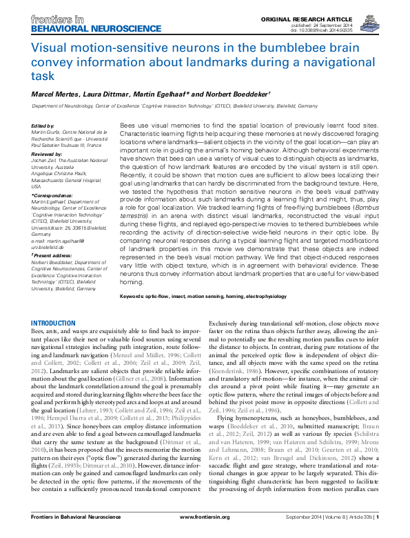 (PDF) Visual motion-sensitive neurons in the bumblebee brain convey ...