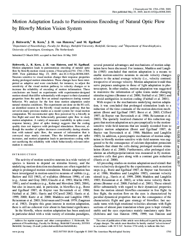 (PDF) Motion Adaptation Leads to Parsimonious Encoding of Natural Optic ...