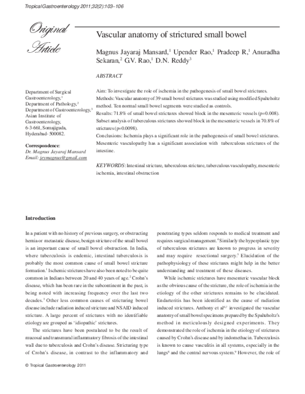 (PDF) Vascular anatomy of strictured small bowel