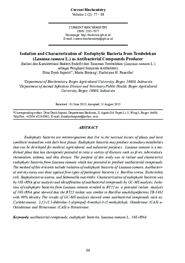 Pdf Isolation And Characterization Of Endophytic Bacteria From