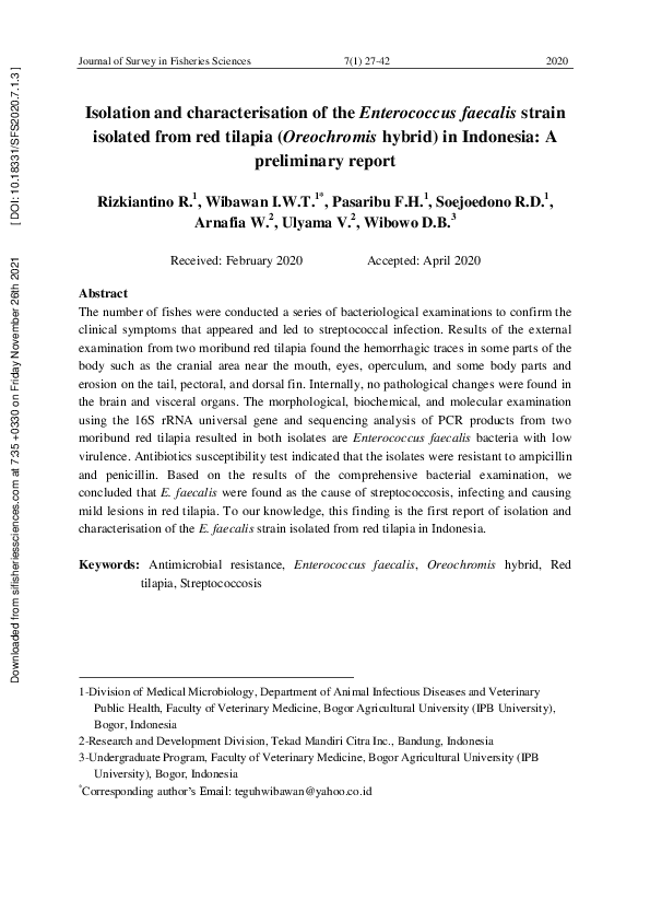 Pdf Isolation And Characterization Of The Enterococcus Faecalis