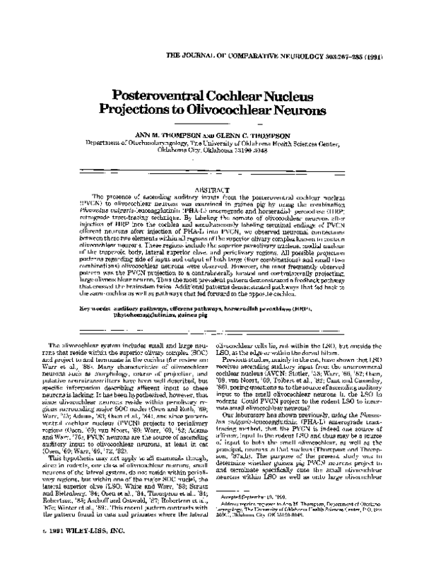 (PDF) Posteroventral cochlear nucleus projections to olivocochlear neurons
