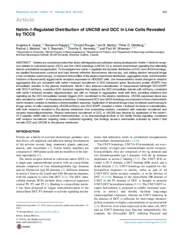 (PDF) Netrin-1-Regulated Distribution of UNC5B and DCC in Live Cells ...