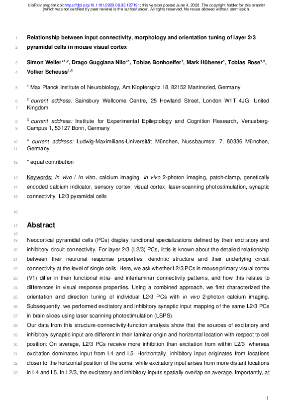 (PDF) Relationship between input connectivity, morphology and orientation tuning of layer 2/3 ...