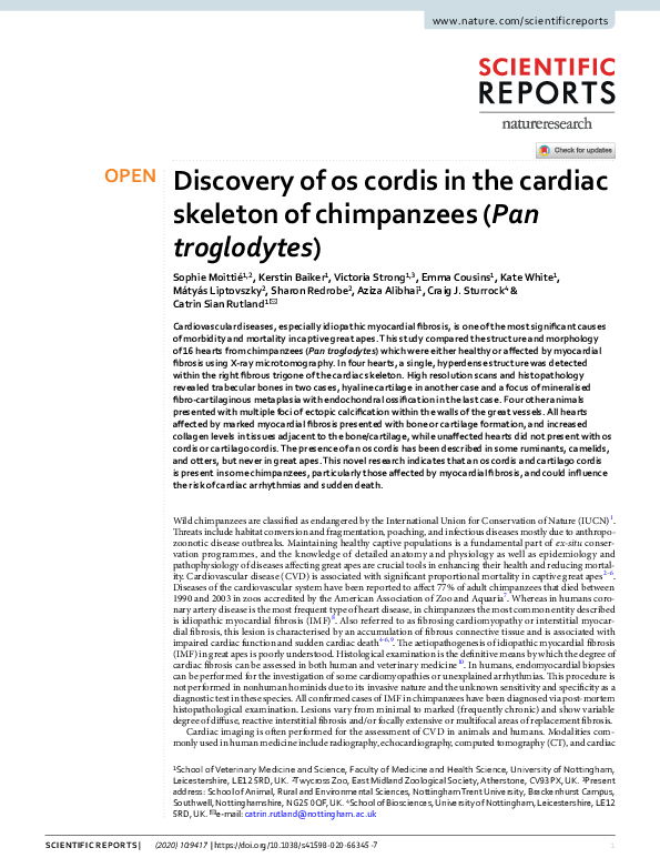 (PDF) Discovery of os cordis in the cardiac skeleton of chimpanzees ...