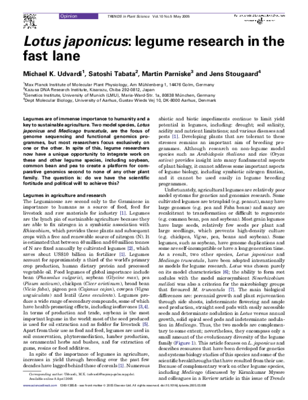 (PDF) Lotus japonicus: legume research in the fast lane