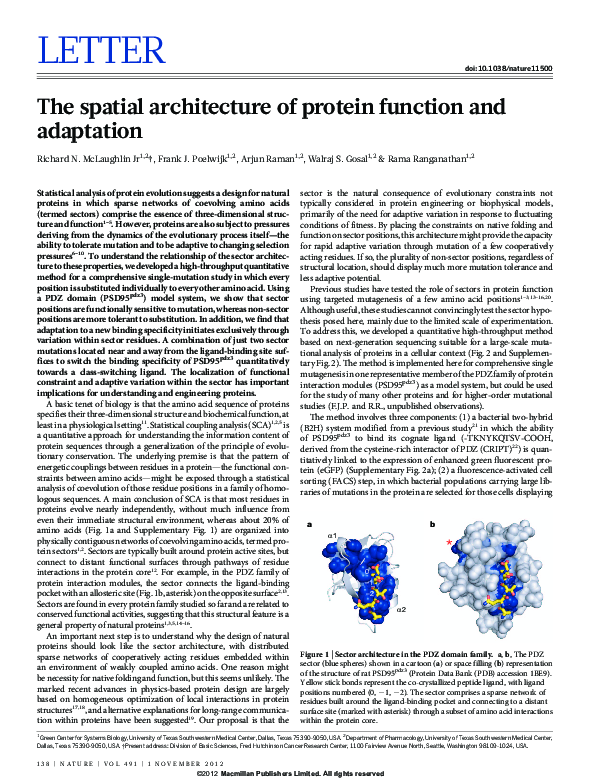 (PDF) The spatial architecture of protein function and adaptation