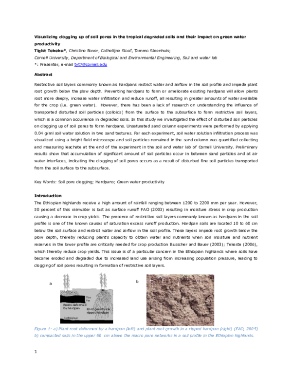 (PDF) Visualizing clogging up of soil pores in the tropical degraded ...