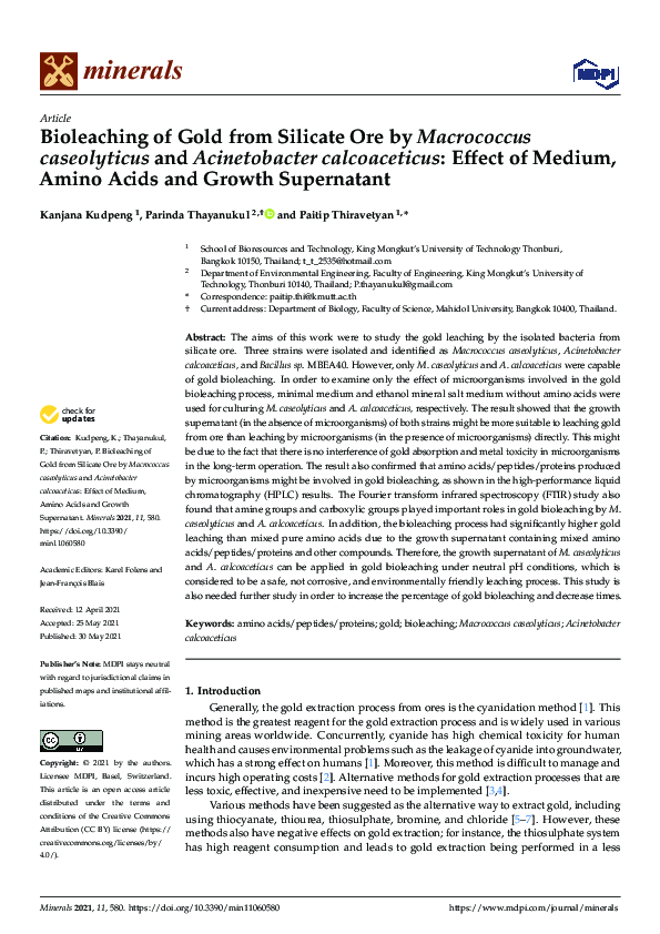 (PDF) Bioleaching of Gold from Silicate Ore by Macrococcus caseolyticus ...