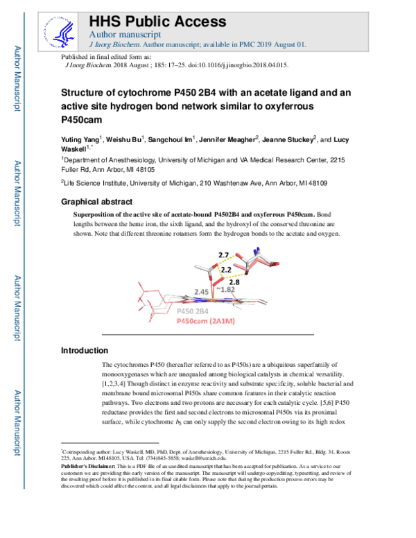 (PDF) Structure of cytochrome P450 2B4 with an acetate ligand and an ...
