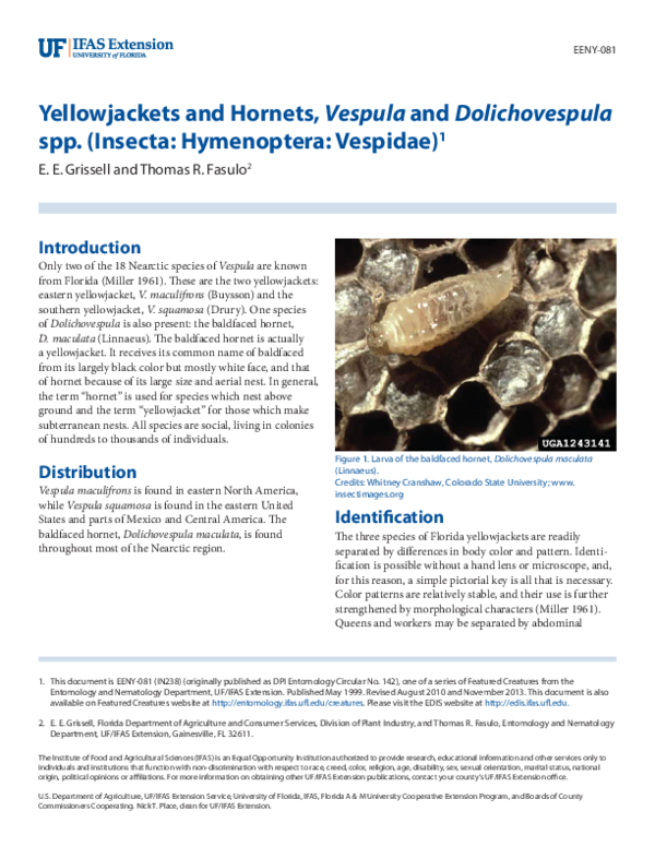 (PDF) Yellowjackets and Hornets Vespula and Dolichovespula spp ...