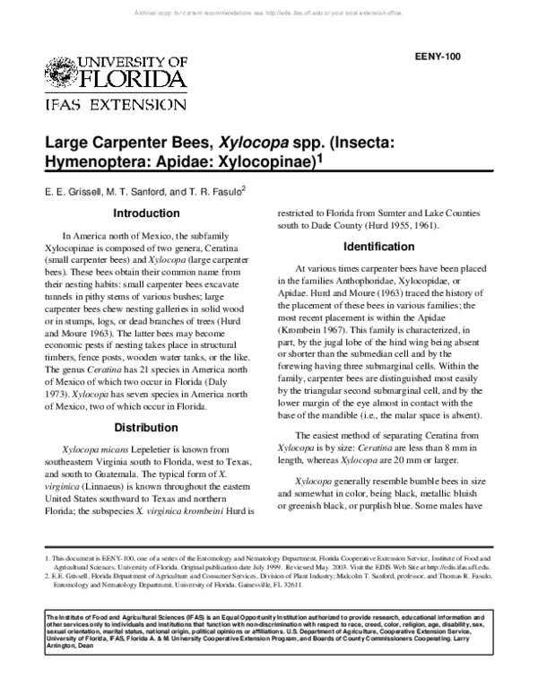 (PDF) Large Carpenter Bees, Xylocopa spp. (Insecta: Hymenoptera: Apidae ...