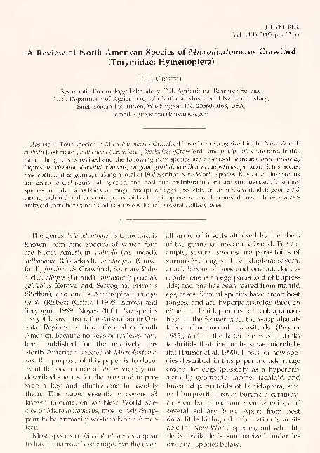 (PDF) A Review of North American Species of Microdontomerus Crawford ...