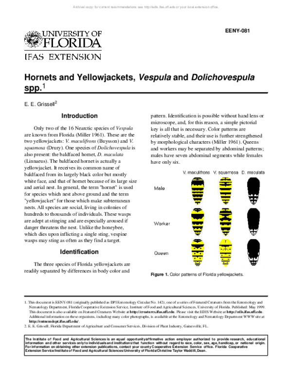 (PDF) Hornets and Yellowjackets, Vespula and Dolichovespula spp