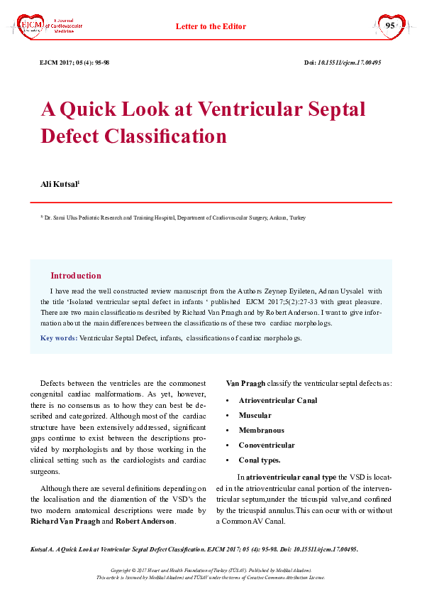 (PDF) A Quick Look at Ventricular Septal Defect Classification