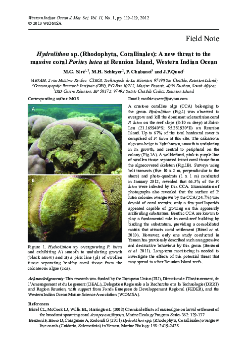(PDF) Hydrolithon sp. (Rhodophyta, Corallinales): A new threat to the ...