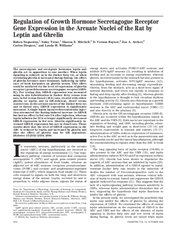 (PDF) Regulation of Growth Hormone Secretagogue Receptor Gene ...