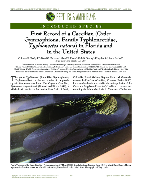 (PDF) First record of a caecilian (order Gymnophiona, Typhlonectes ...