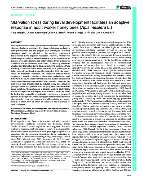 (PDF) Starvation stress during larval development facilitates an ...