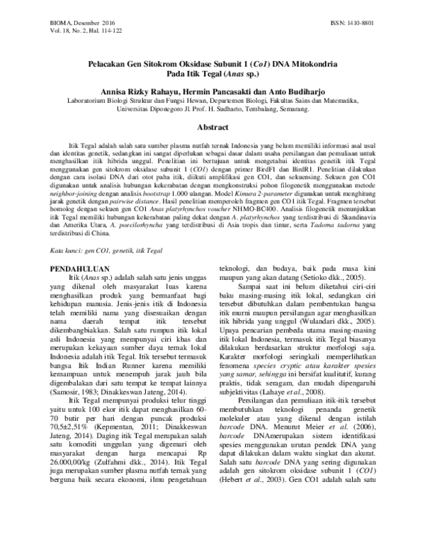 (PDF) Pelacakan Gen Sitokrom Oksidase Subunit 1 (Co1) DNA Mitokondria ...