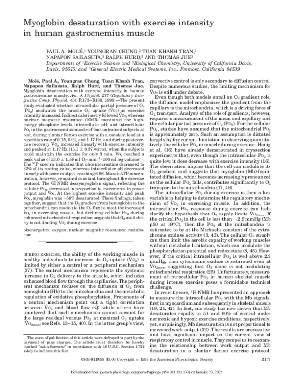 (PDF) Myoglobin desaturation with exercise intensity in human ...