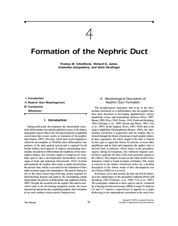 (PDF) Formation of the Nephric Duct