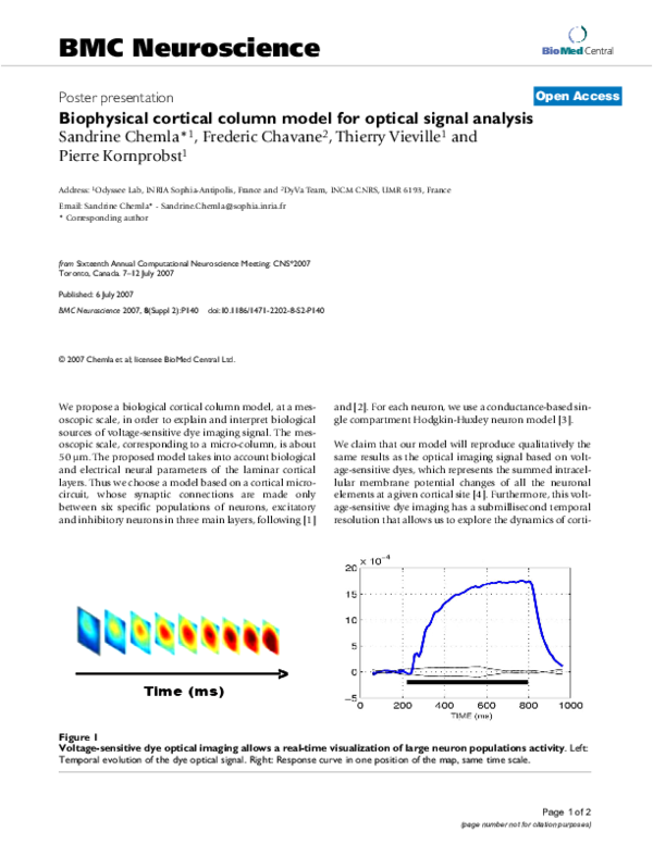 (PDF) BMC Neuroscience BioMed Central Poster presentation Biophysical ...