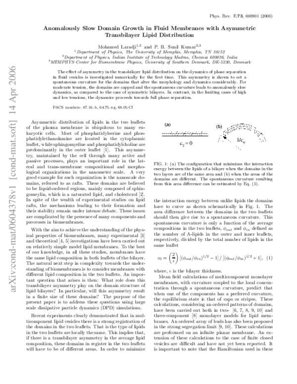 (PDF) Anomalously Slow Domain Growth in Membranes with Asymmetric ...