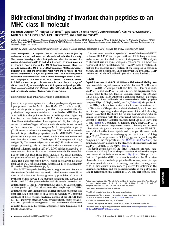 (PDF) Bidirectional binding of invariant chain peptides to an MHC class ...