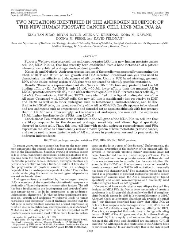 (PDF) Two Mutations Identified in the Androgen Receptor of the New ...