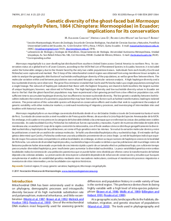 (PDF) Genetic diversity of the ghost-faced bat Mormoops megalophylla ...