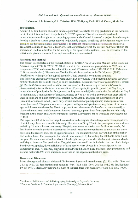 (PDF) Nutrient and water dynamics in a multi-strata agroforestry system