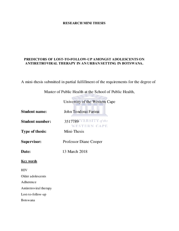 (PDF) Research Mini Thesis