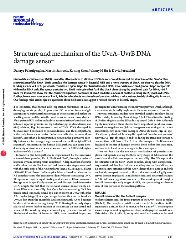 (PDF) Structure and mechanism of the UvrA–UvrB DNA damage sensor