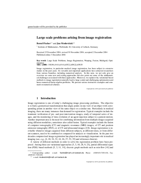 (PDF) Large scale problems arising from image registration