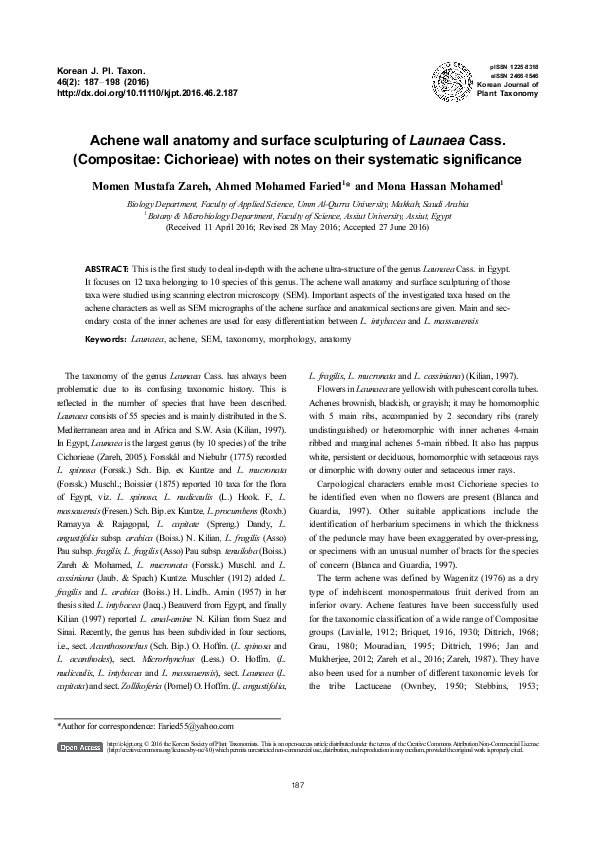 (PDF) Achene wall anatomy and surface sculpturing of Launaea Cass. (Compositae: Cichorieae) with ...