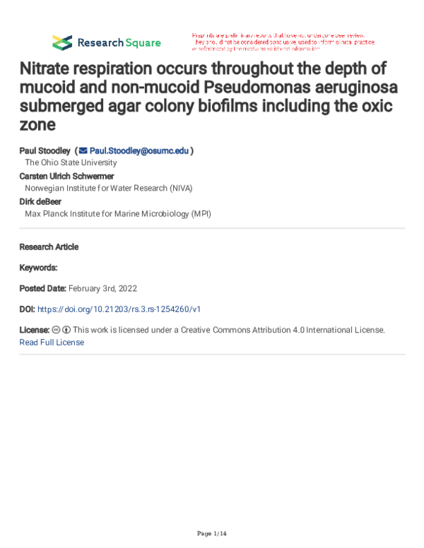 (PDF) Nitrate respiration occurs throughout the depth of mucoid and non ...