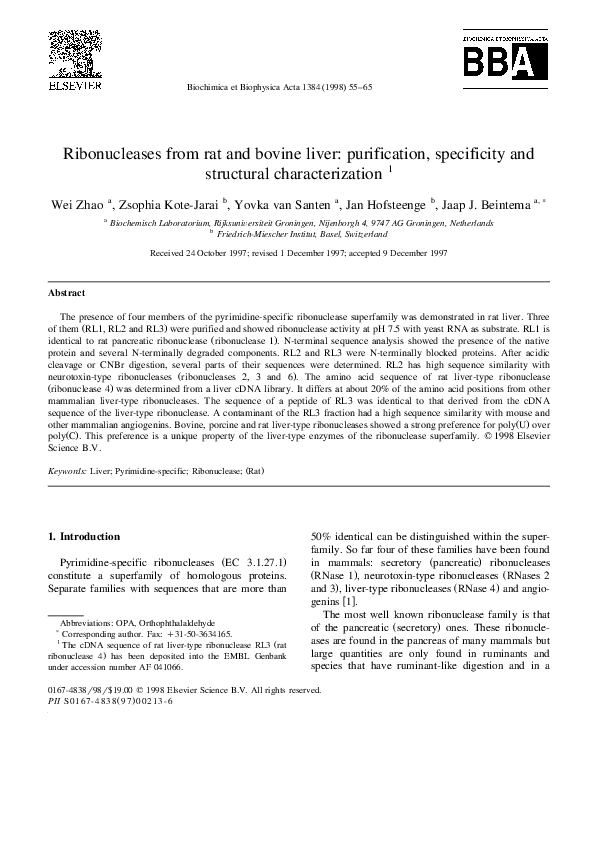 (PDF) Ribonucleases from rat and bovine liver: purification ...