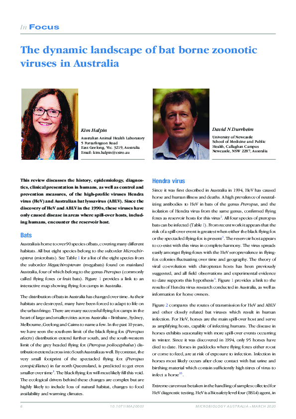 (PDF) The dynamic landscape of bat borne zoonotic viruses in Australia
