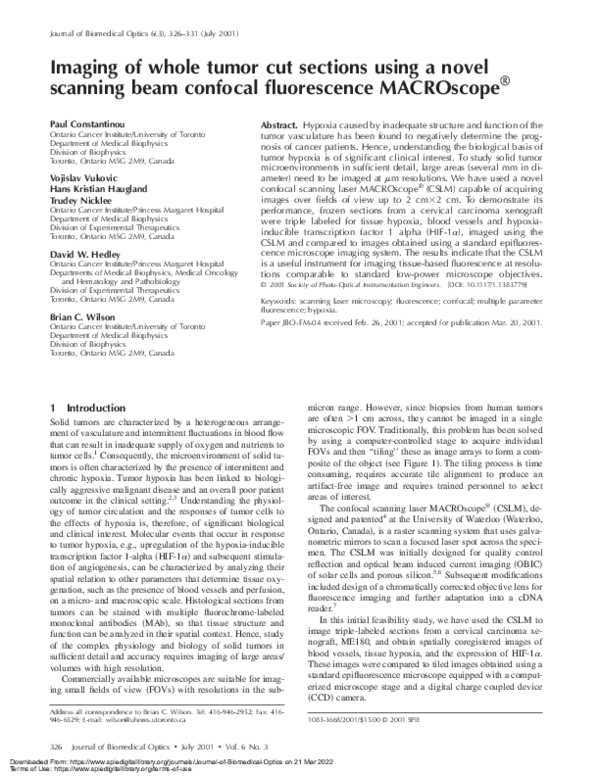 (PDF) Imaging of whole tumor cut sections using a novel scanning beam ...