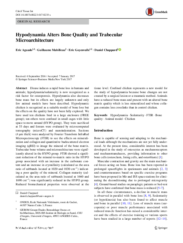 (PDF) Hypodynamia Alters Bone Quality and Trabecular Microarchitecture ...