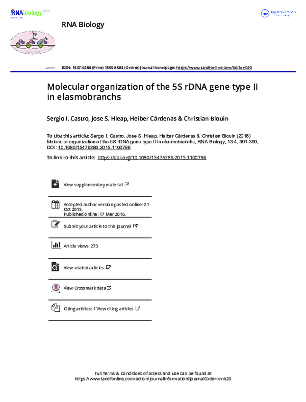 (PDF) Molecular Organization of the 5s rDna Gene Type II in Elasmobranchs