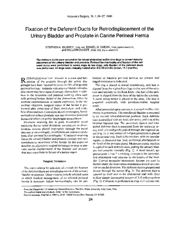 (PDF) Fixation of the Deferent Ducts for Retrodisplacement of the ...