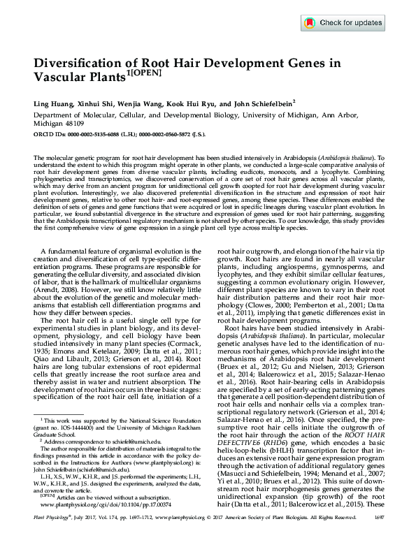 (PDF) Diversification of Root Hair Development Genes in Vascular Plants