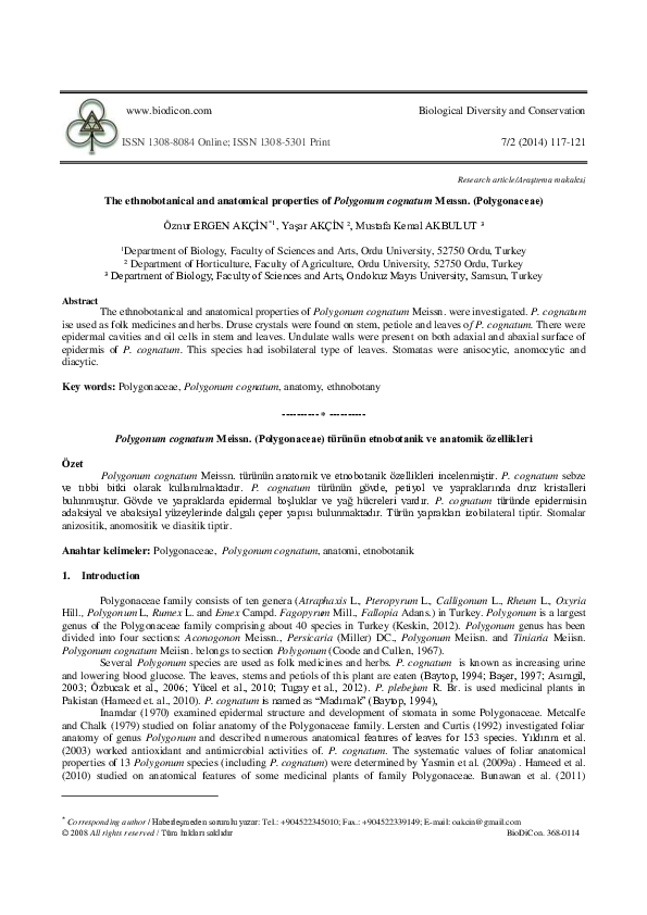 (PDF) The ethnobotanical and anatomical properties of Polygonum ...